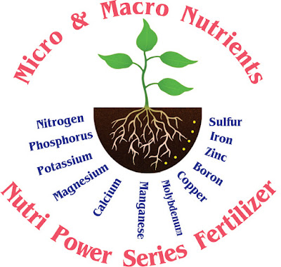 Nutri Power Series Organic Fertilizers: Micro and Macro Nutrients - Nps ...