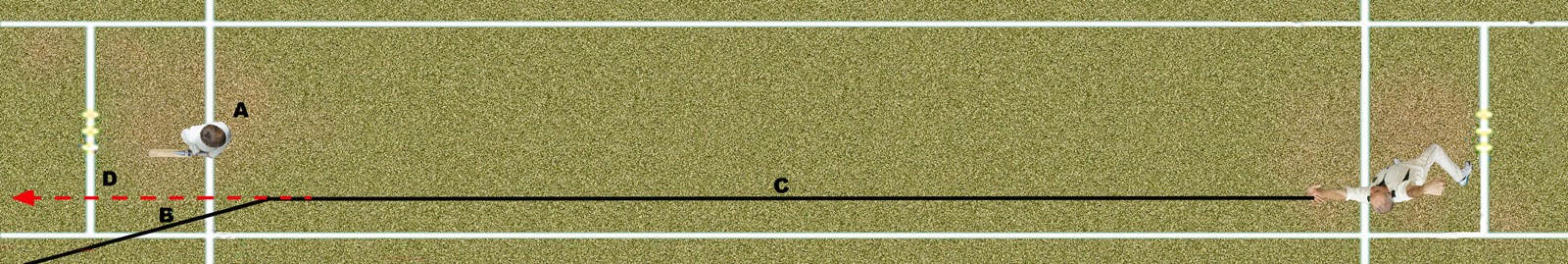 Spin bowling-Legbreak: Leg Spin Bowling - Variations and Sub Variations