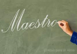 DIARIO DE UN CORREDOR DE FONDO: CURSO PARA SER UN BUEN MAESTRO