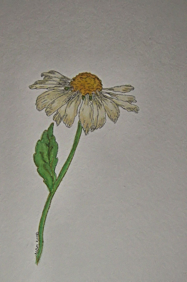 Welcome to the Nest: Now For Something Different