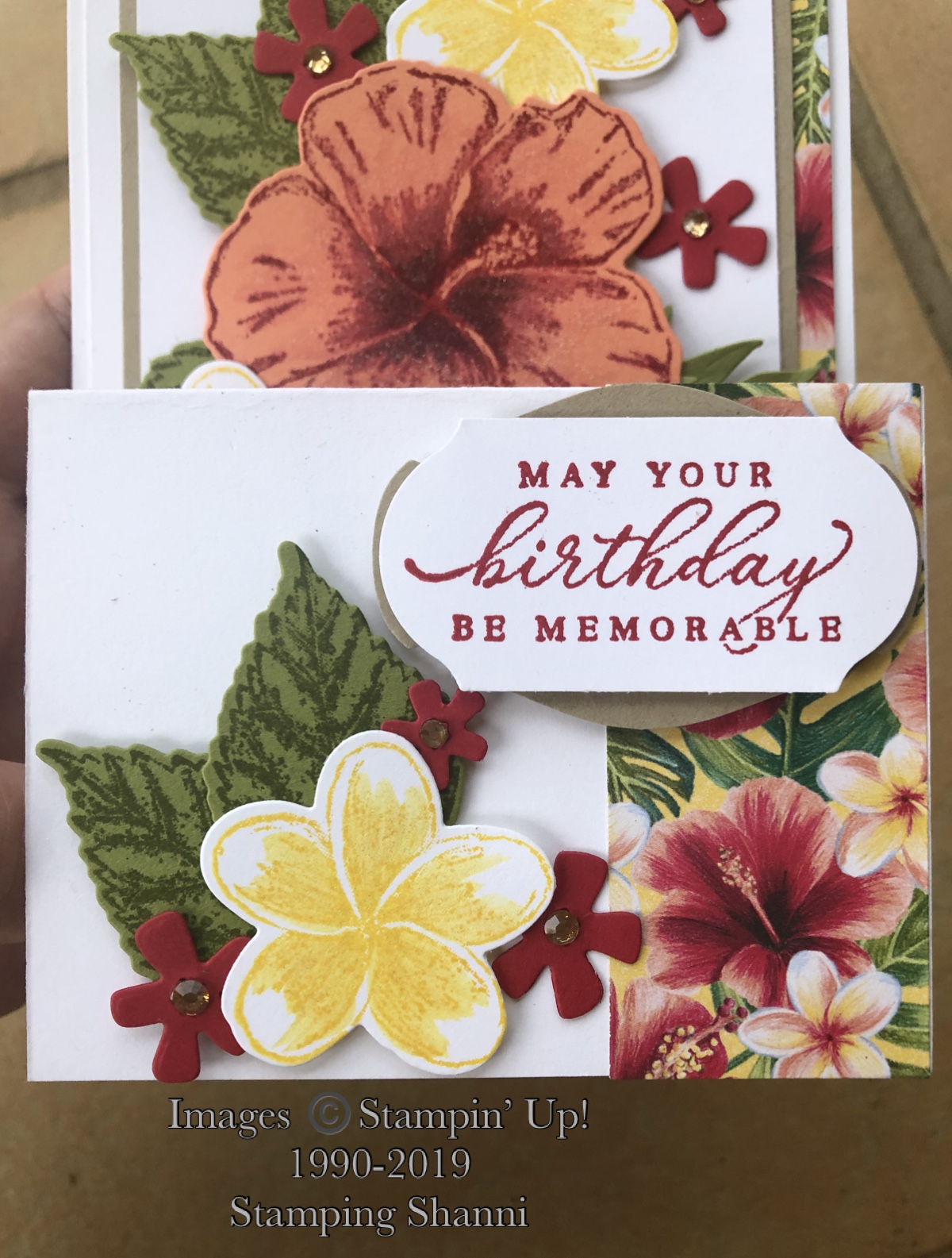 Stamping Shanni: Fancy Folds - Double Easel Card