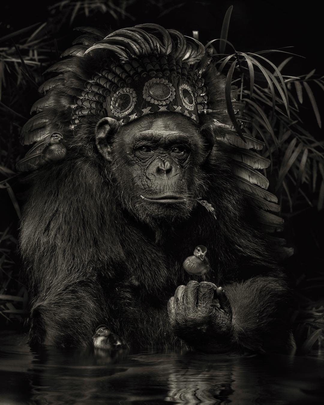 13 Gambar Editan Photoshop Yang Menarik