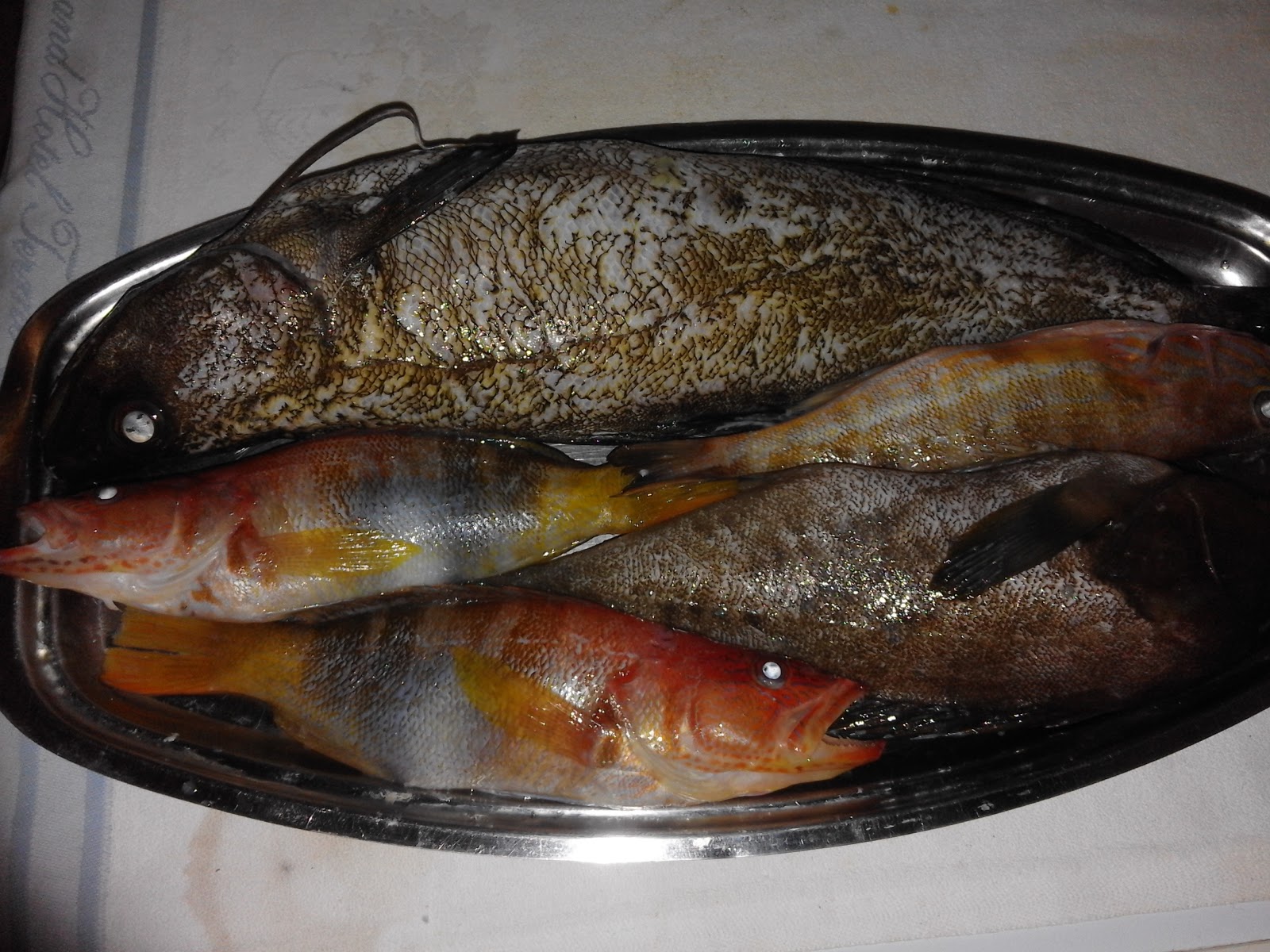 A day in the life of a fisherman: ΠΟΤΕ ΓΕΝΑΝΕ ΤΑ ΨΑΡΙΑ
