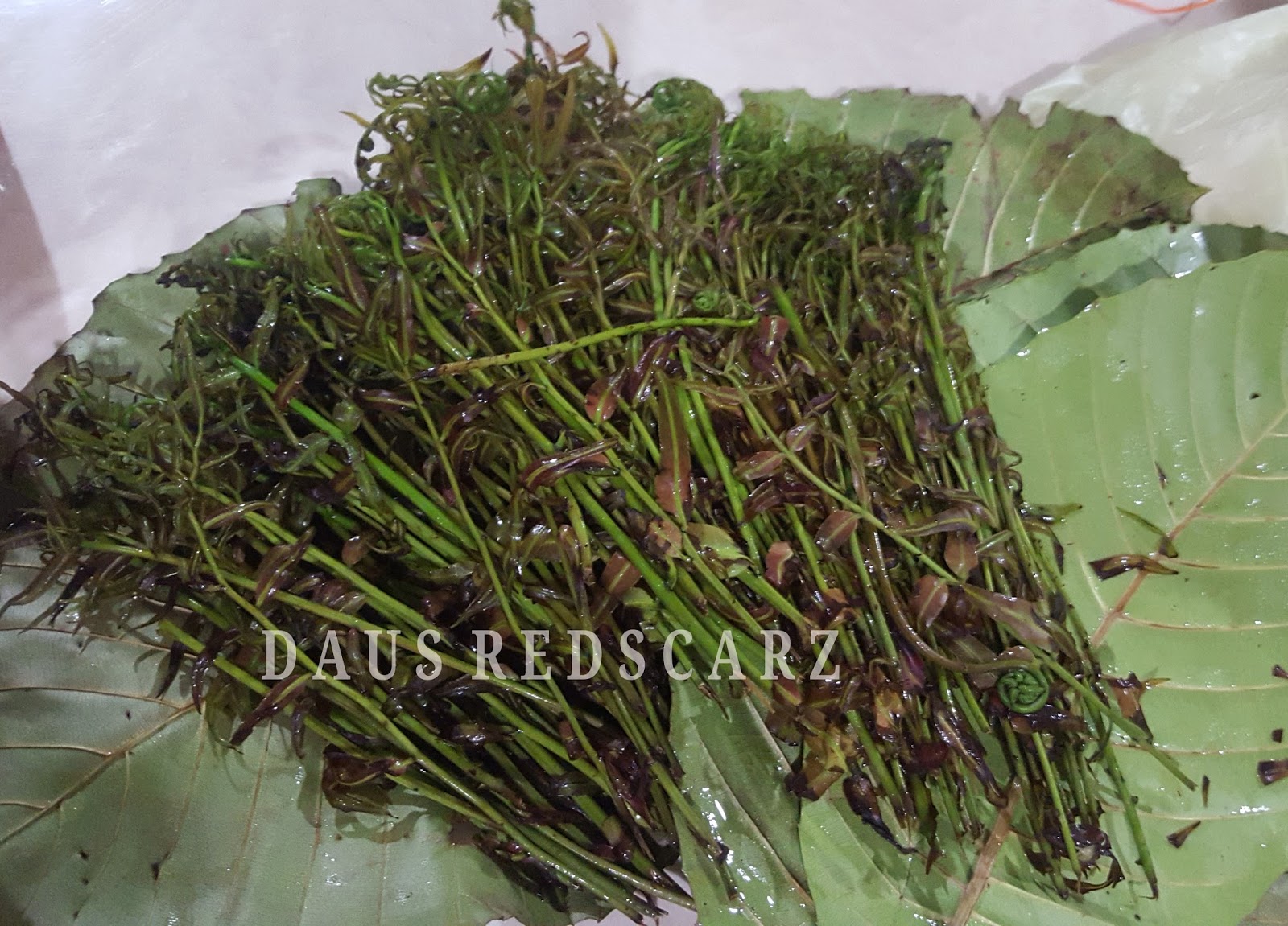 DAUS REDSCARZ: Resepi Midin Belacan Sarawak sedap dan rangup