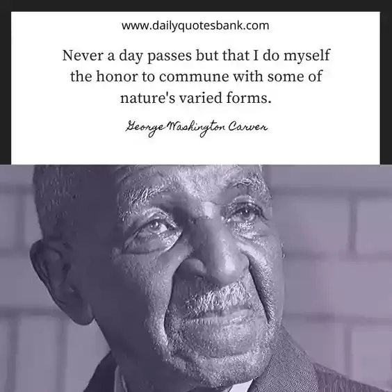 George Washington Carver Famous Quotes, Lines, Biography