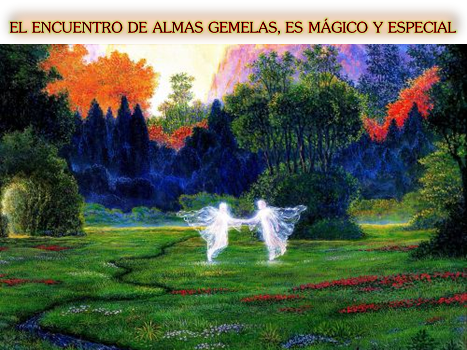 Acercate Comparte Fluye: La conexión de almas
