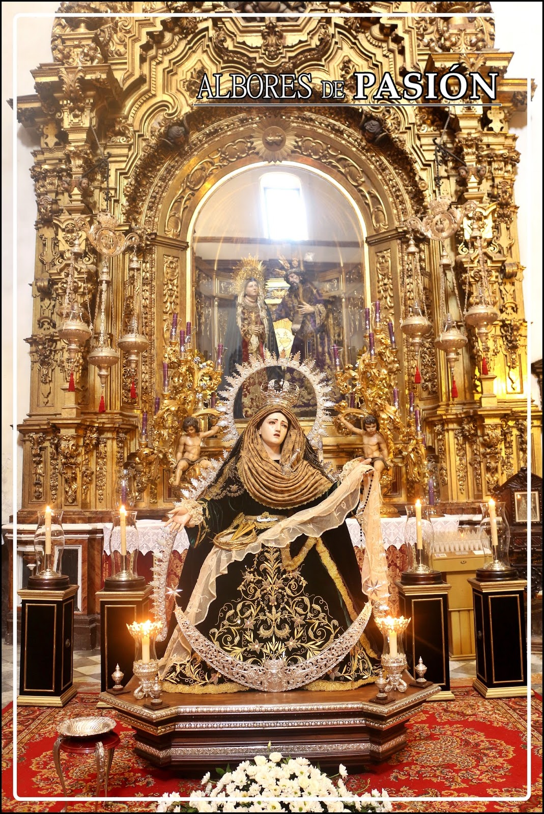 Albores de Pasión: Besamanos Magno de Cádiz - Quinta Angustia y ...