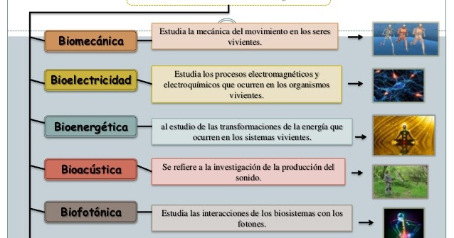 Generalidades de Biofisica: UNIDAD 1 : Biofisica y sus Generalidades