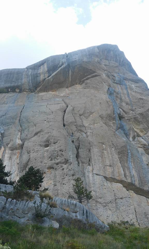 ALEGHE FREE MOUNTAIN