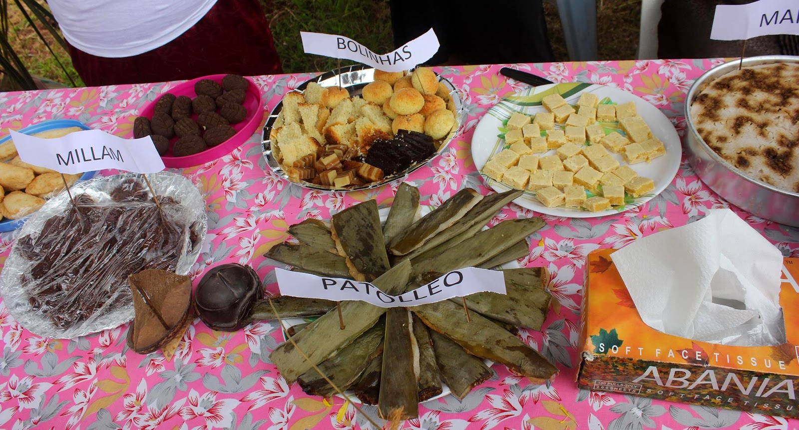 THE VALLEY OF WORDS: GOAN HERITAGE AND MUSEUMS OF INNOCENCE