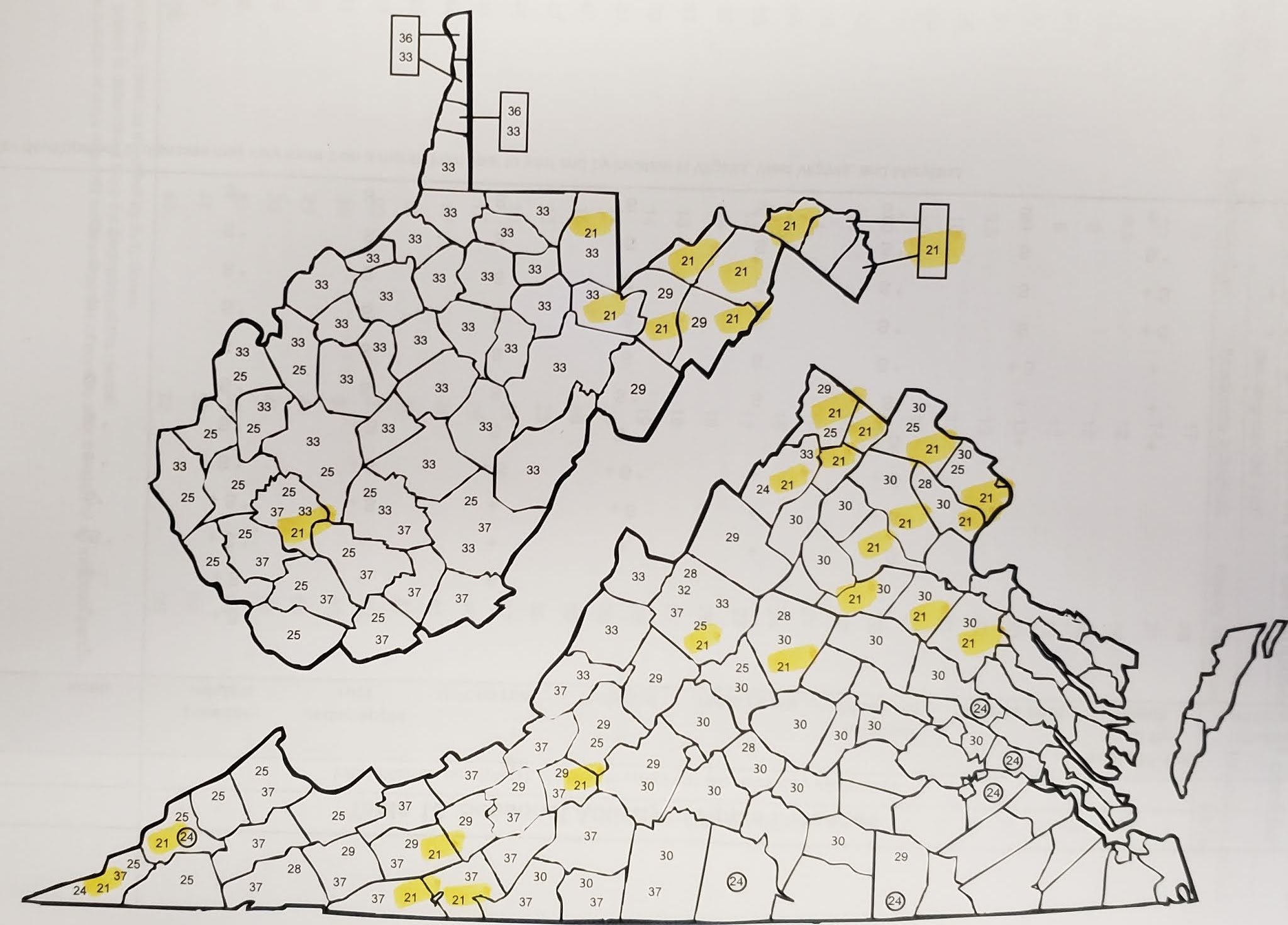 Virginia Fruit Insect Updates: Brood X of Periodical Cicada Active