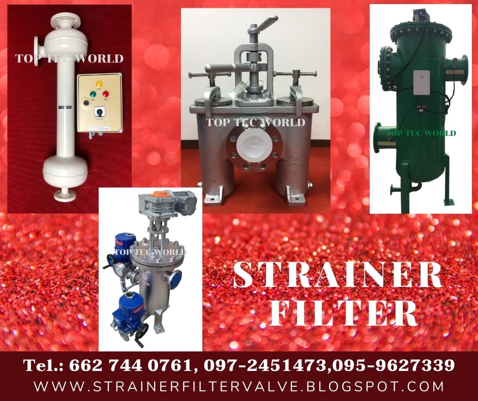 StrainerFiltervalve: Inline Basket Strainer_Strainer Filter