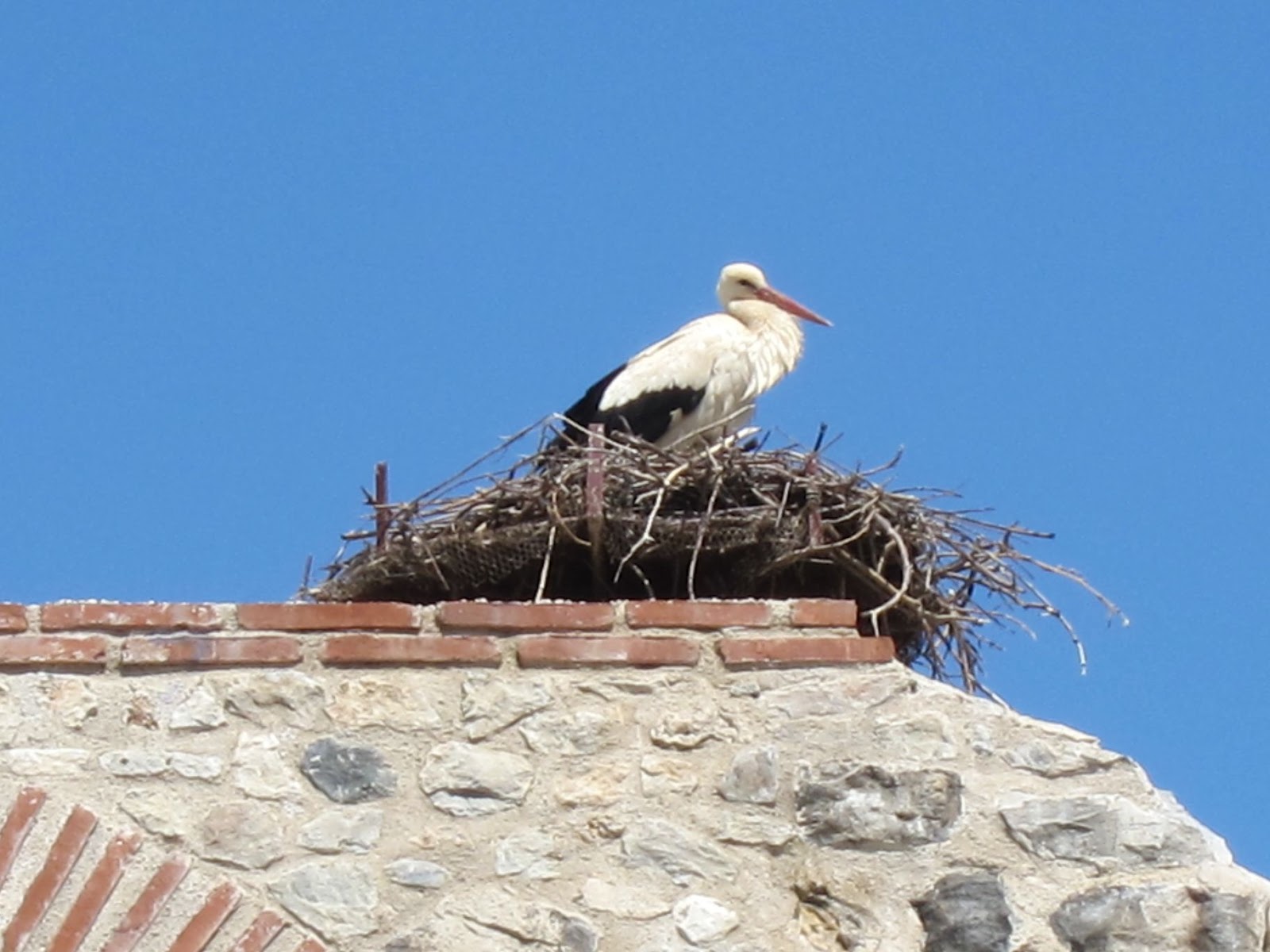 Worldtour 2011 - 2012: 21st March: Ephesus Museum and the road to Pamukkale