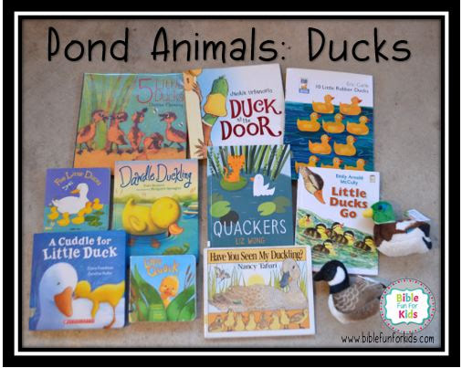 God Makes the Pond Animals: Ducks | Bible Fun For Kids