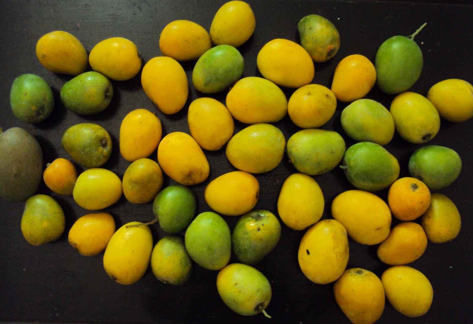 Arquitectura Sol y Arena: LAS FRUTAS