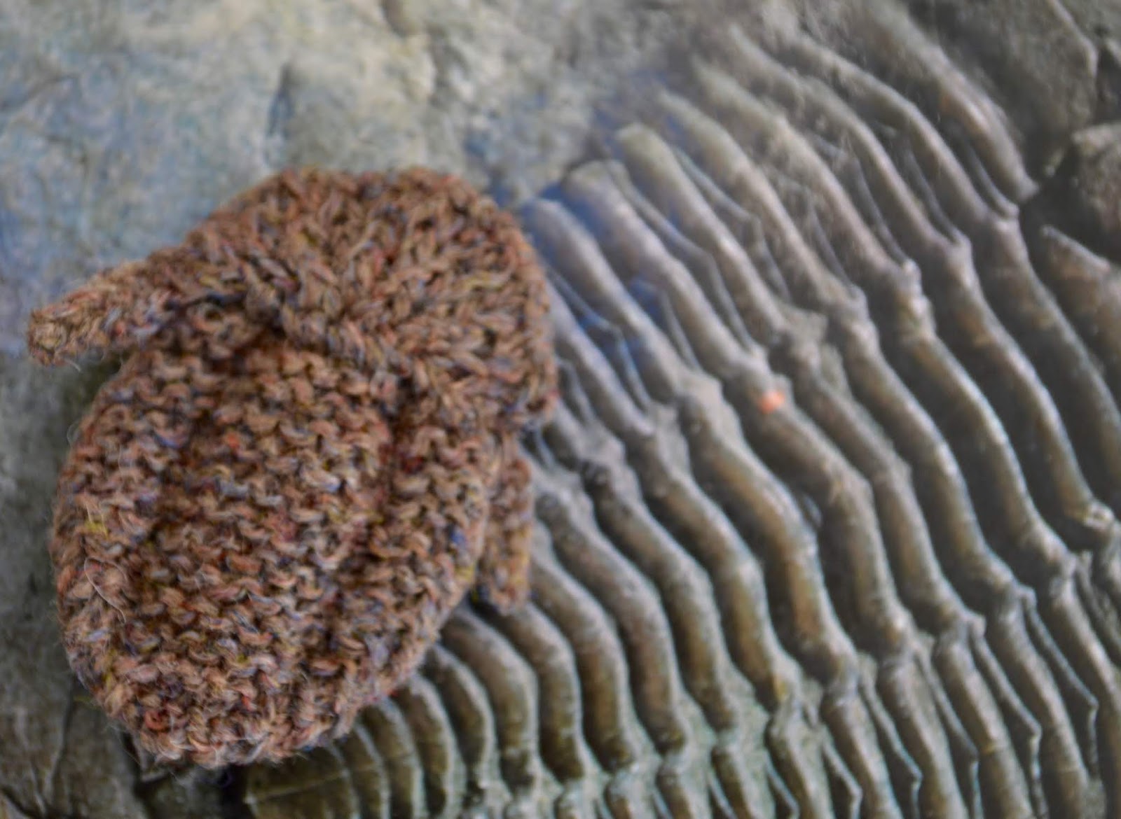 Ginx Craft : Trilobite