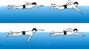 Physical Health: The Definition Of Front Crawl Swimming And How To Do It