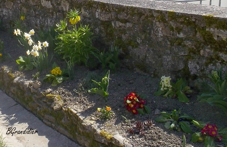 Mon Jardin en Moselle: Plate bande fleurie