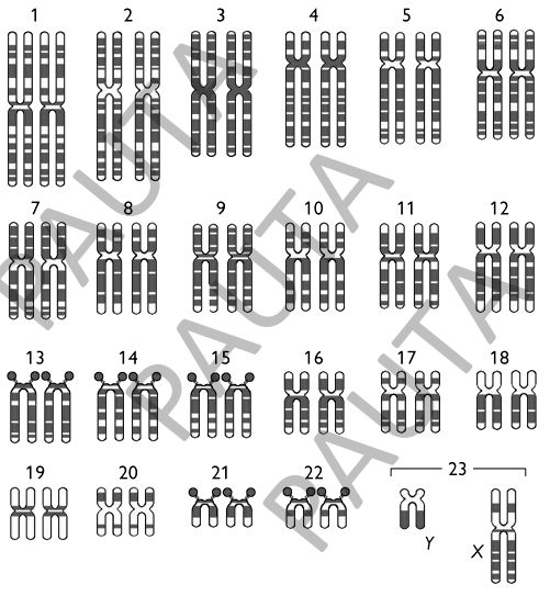 CIENCIAS JPL: CARIOGRAMAS: ESTUDIO DE CASOS