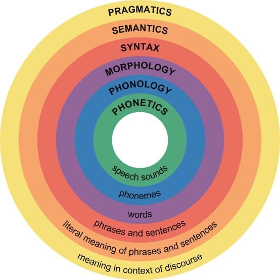 SCOPE OF LINGUISTICS scope-of-linguistics