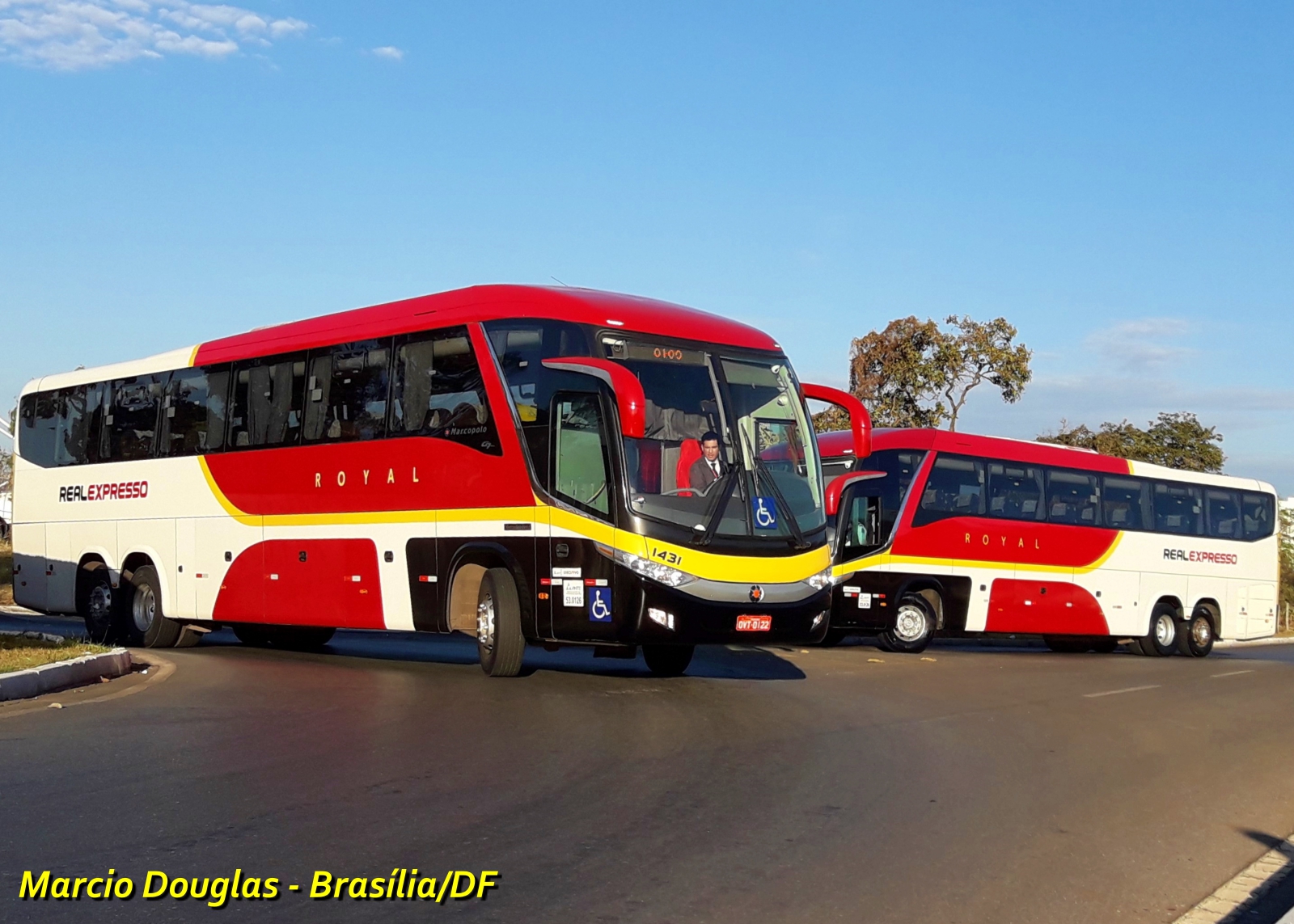 Expresso Bus: Real Expresso 1431