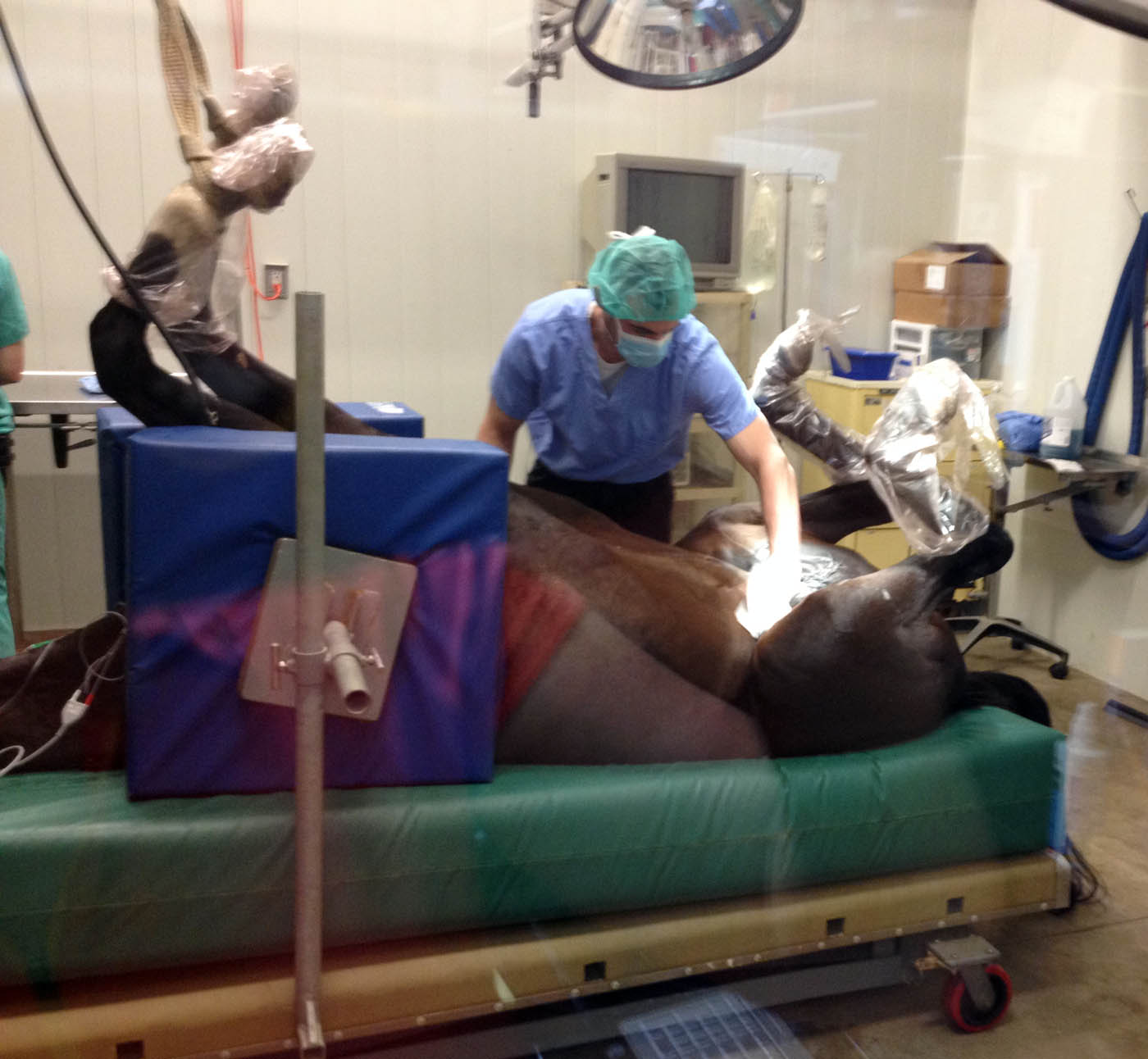 Bit of Honey Training: Note's Surgery