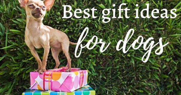Best Dog Gifts of 2021 - Perfect Presents For Your Pooch | Creative ...