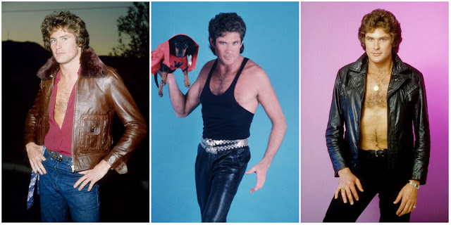 Don't Hassle The Hoff! 30 Cheesy Portraits of David Hasselhoff Like You ...