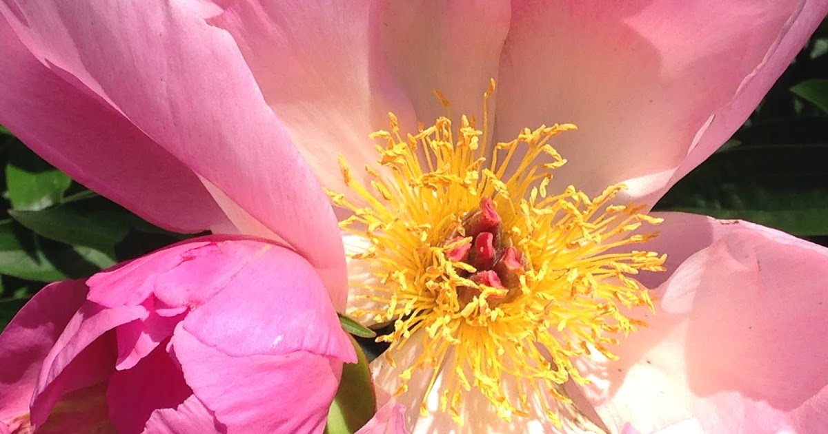 jeff linzer, astrologer: SOLSTICE SHIFT