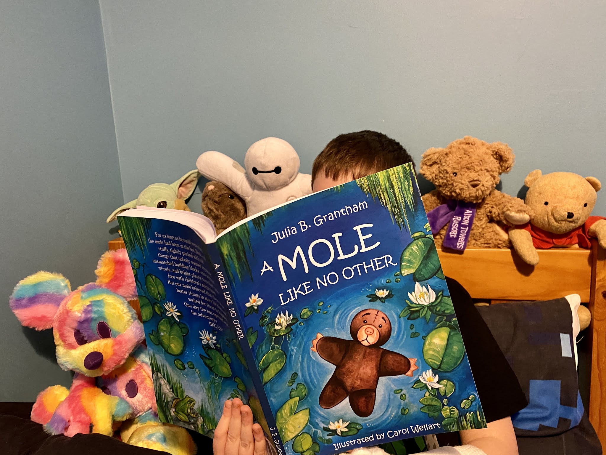 Playdays and Runways: A Mole Like No Other Children's Book