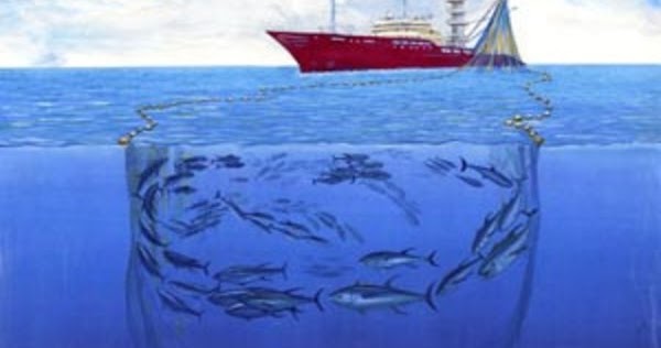 MEDIA PENYULUHAN PERIKANAN: MACAM-MACAM KAPAL PENANGKAP IKAN DI INDONESIA