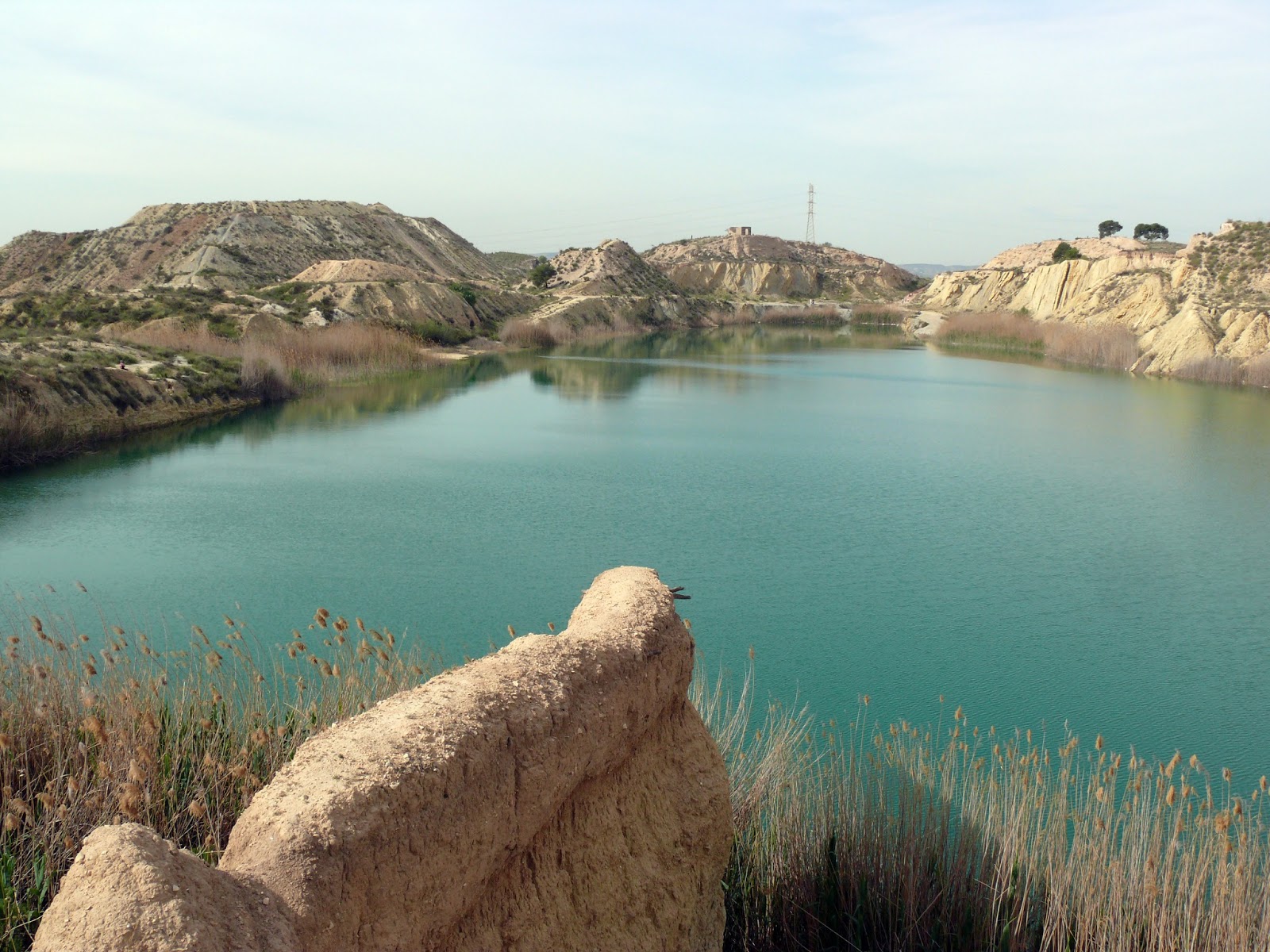 Aquasnail: Las Lagunas de Rabasa (Alicante)