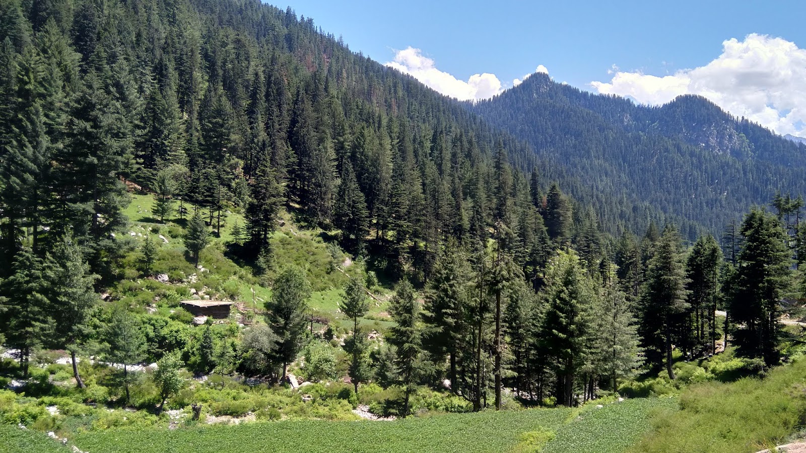Muzzammil's Travels: June 2018: Swat - Gabral - Badhgoi Pass - Kumrat ...
