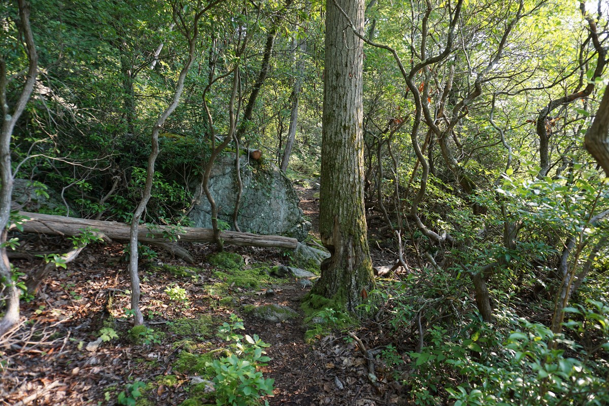 Harriman Hiker: Harriman State Park and Beyond: Breakneck Pond AMC ...