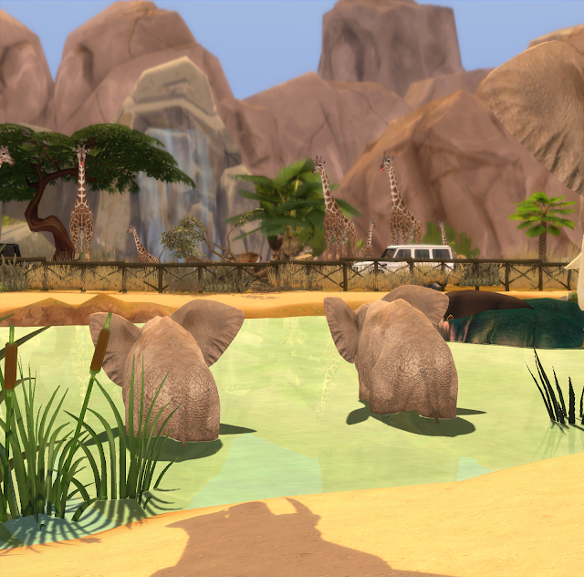 Go To Safari - Lily Sims