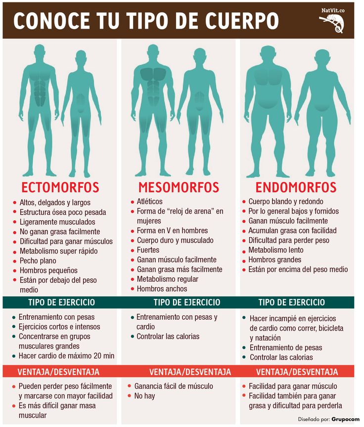 ¿QUÉ SON LOS BIOTIPOS CORPORALES?