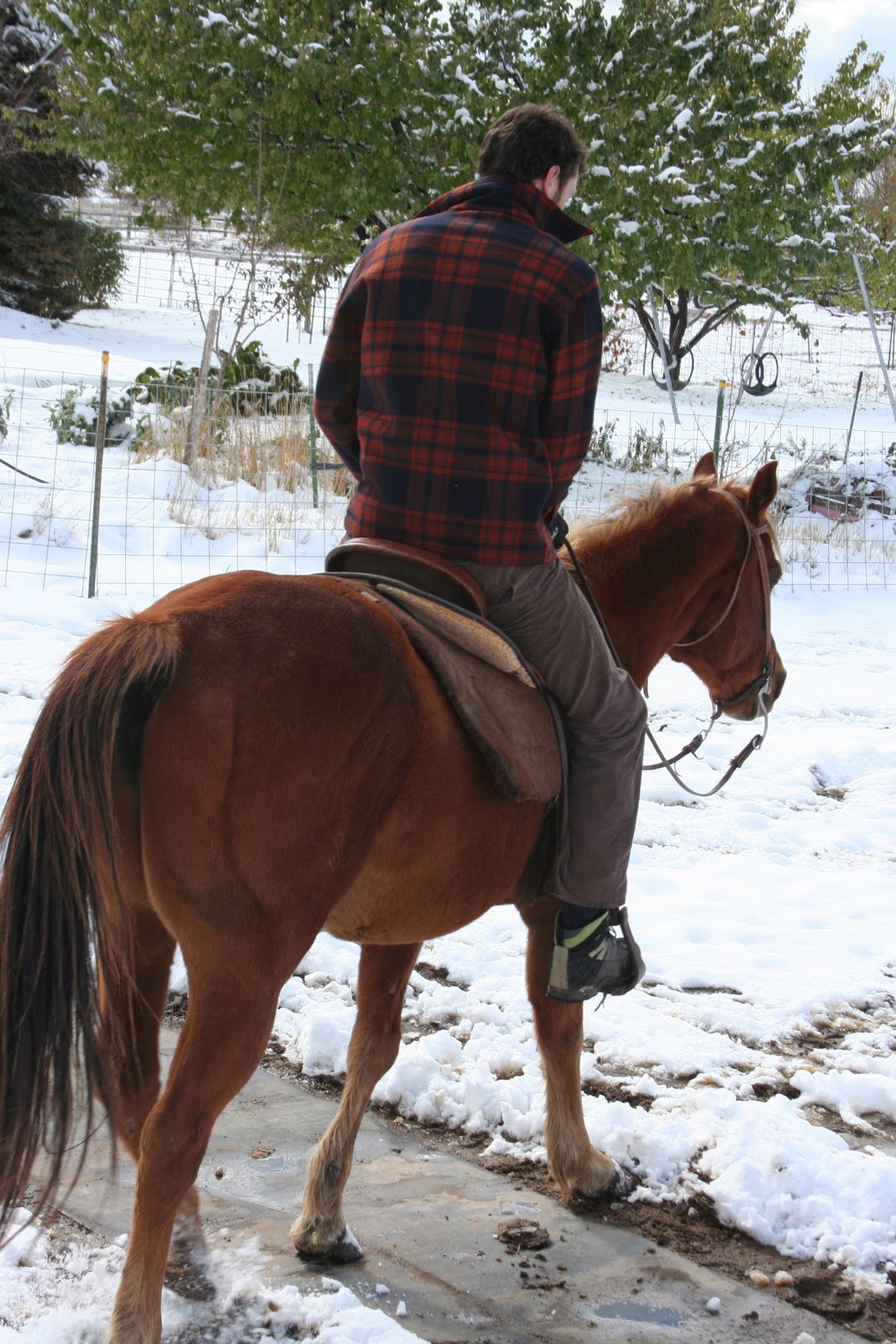 Lacey Parr: Horseback Riding in Payson