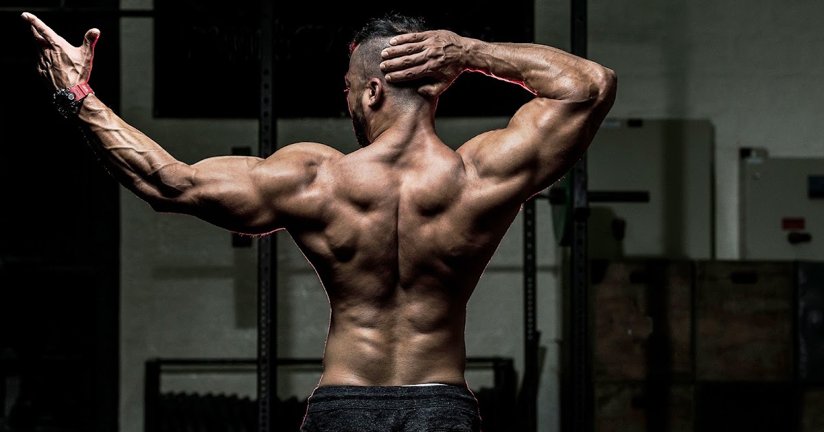 Grab The Best Anabolic Steroids In The UK For A Beginner