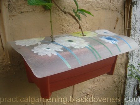 Practical Gardening: Prevent Overwatering - Garden Pot Cover