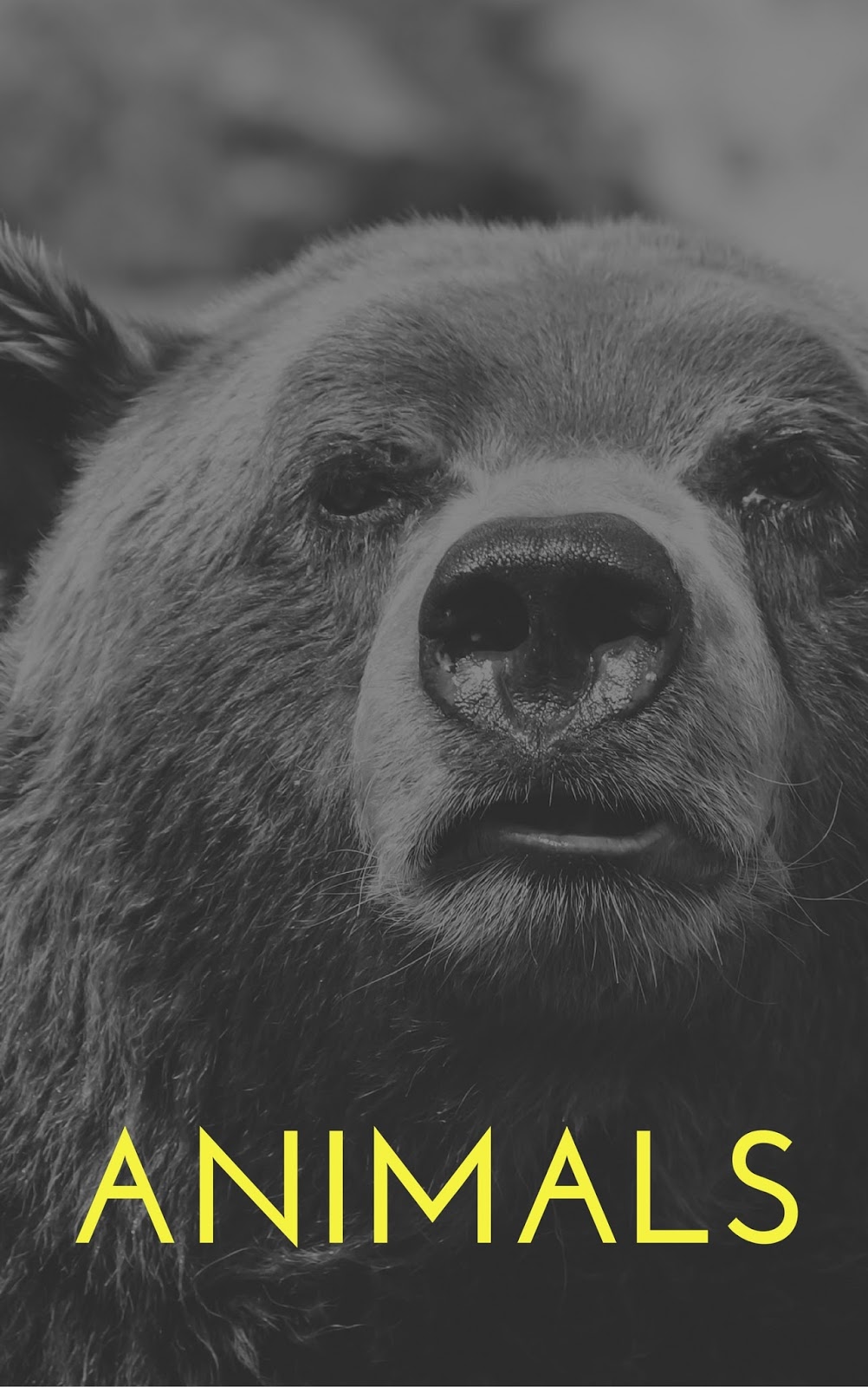 CeipToursScience2: NATURAL SCIENCE UNIT 1: ANIMALS