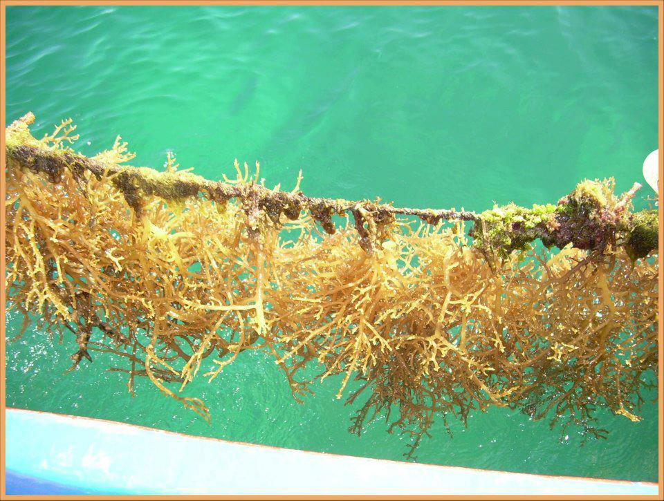 MiraZ Beauty: Hanya 11 Febuari 2013 8malam-9malam SAHAJA!!