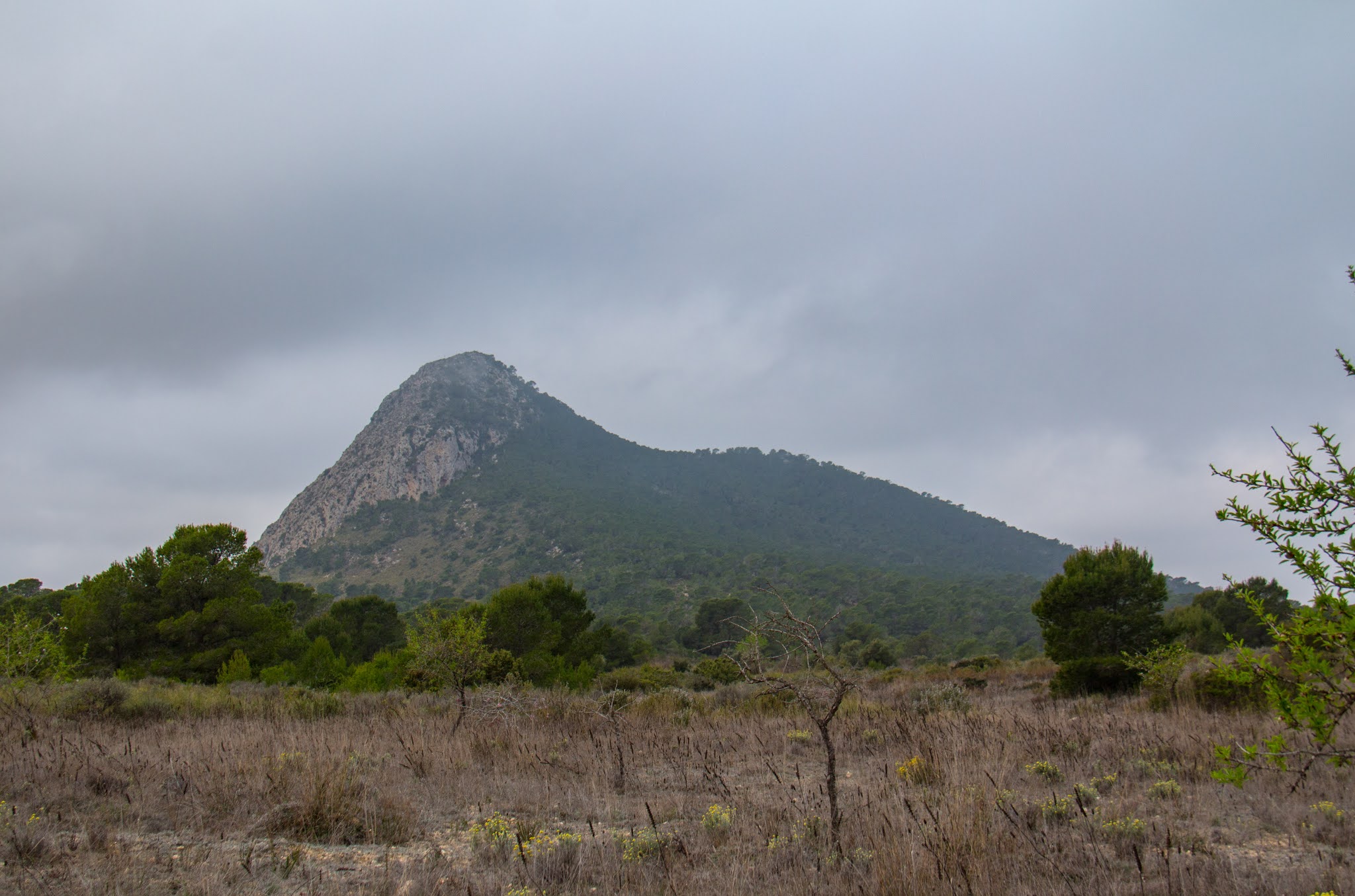 RUTA CIRCULAR AL CERRO DEL AGUDO DESDE BARBARROJA.