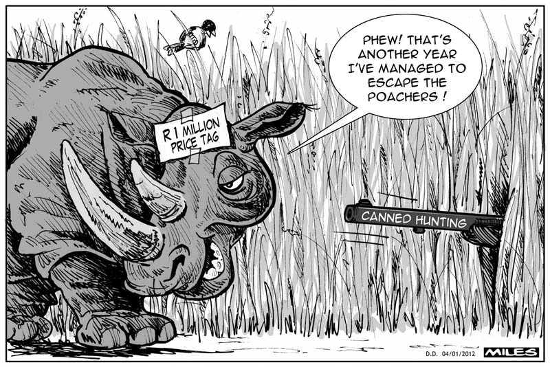 Funny Cartoons White Rhinoceros | DAILY NEWS