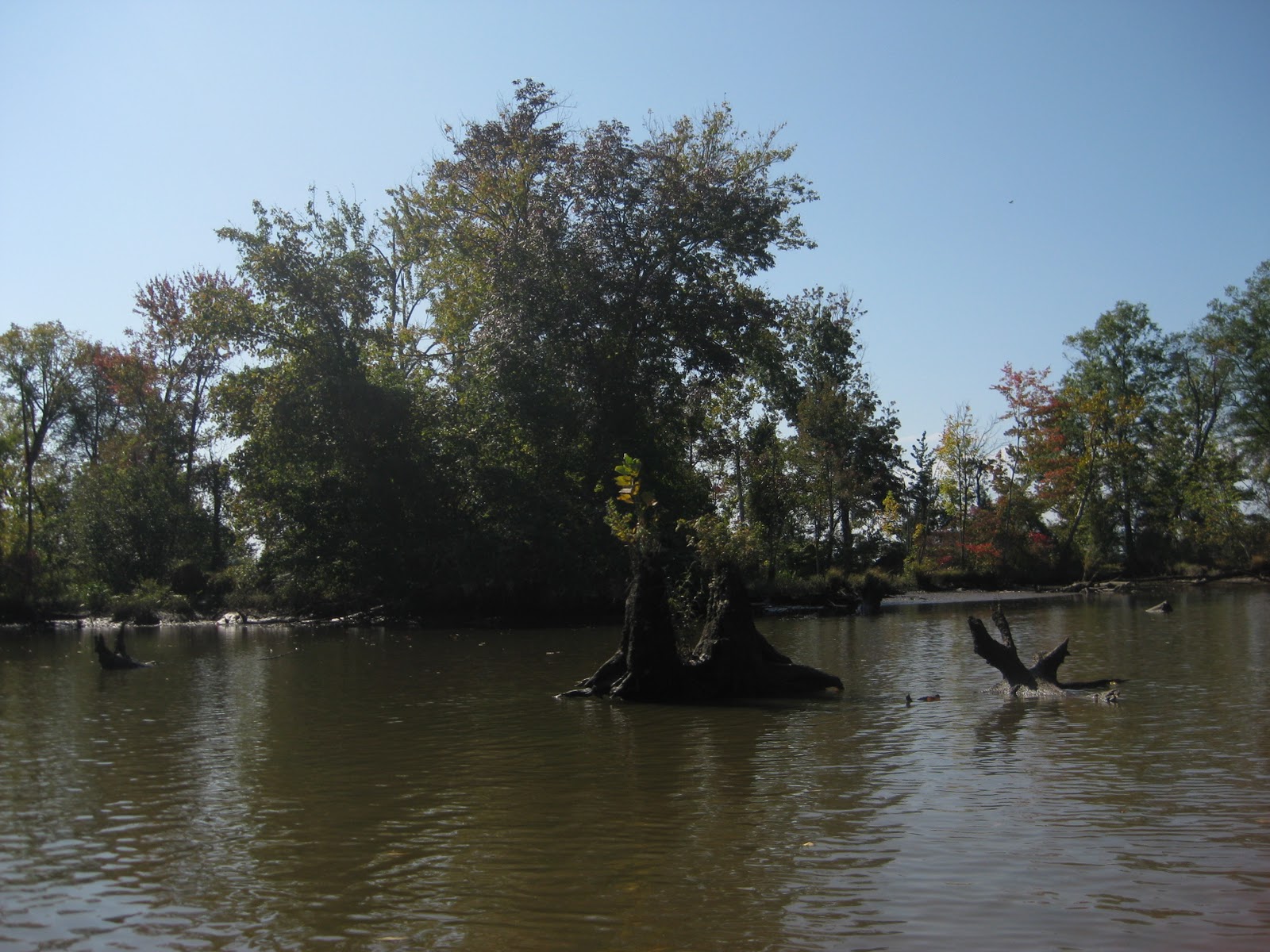 Kayak for Life: Deep Bottom - James River