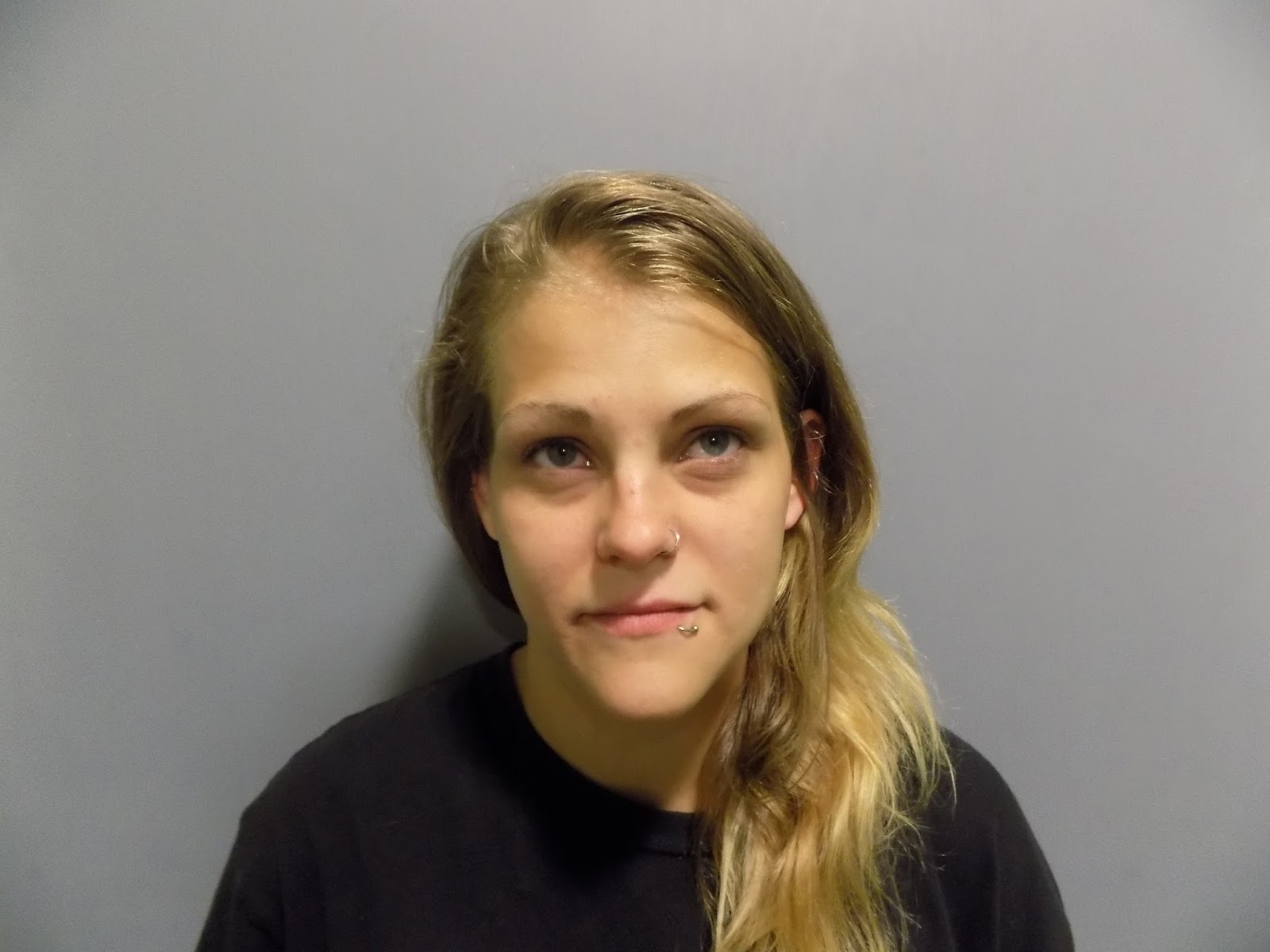 Springfield, VT Police Department: August 2017