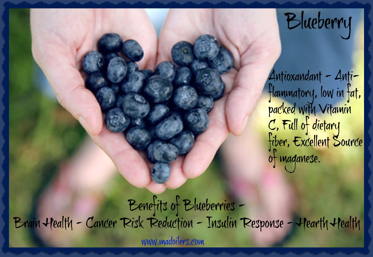 Good Books For Young Souls: july is national blueberry month! taste the ...