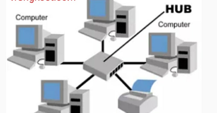 Pengertian, Fungsi dan Perbedaan [LENGKAP], HUB dan SWITCH - WONGKOST.com