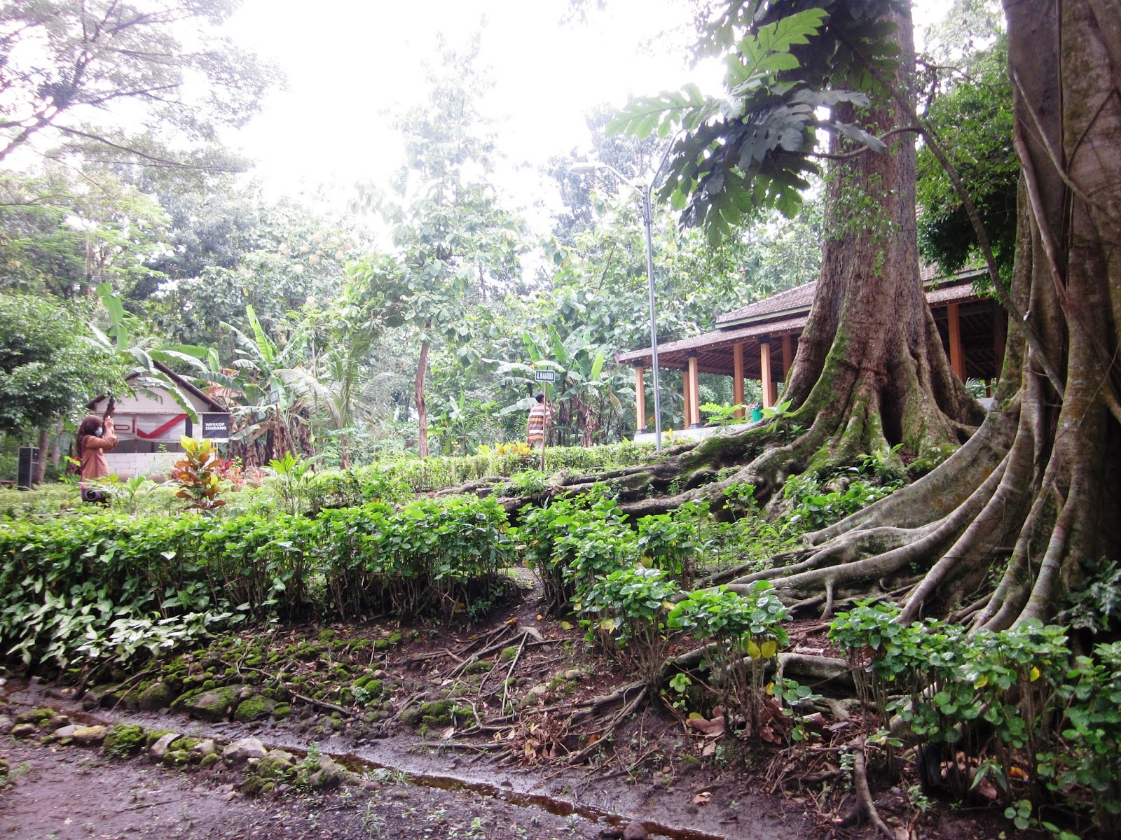 jombang city guide: Sendang Made : Petilasan Prabu Airlangga ...