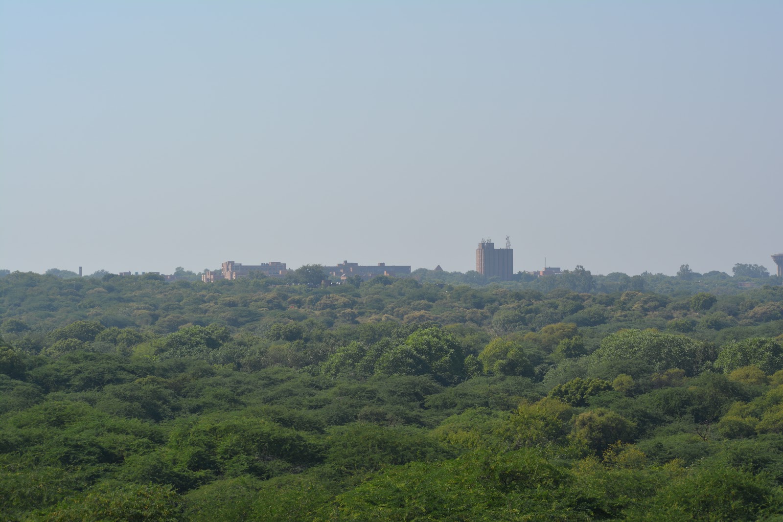 travelling is life: Sanjay Van