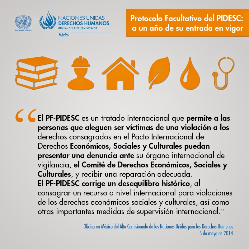 Tren Fugitivo Boliviano: Protocolo Facultativo del Pacto Internacional ...